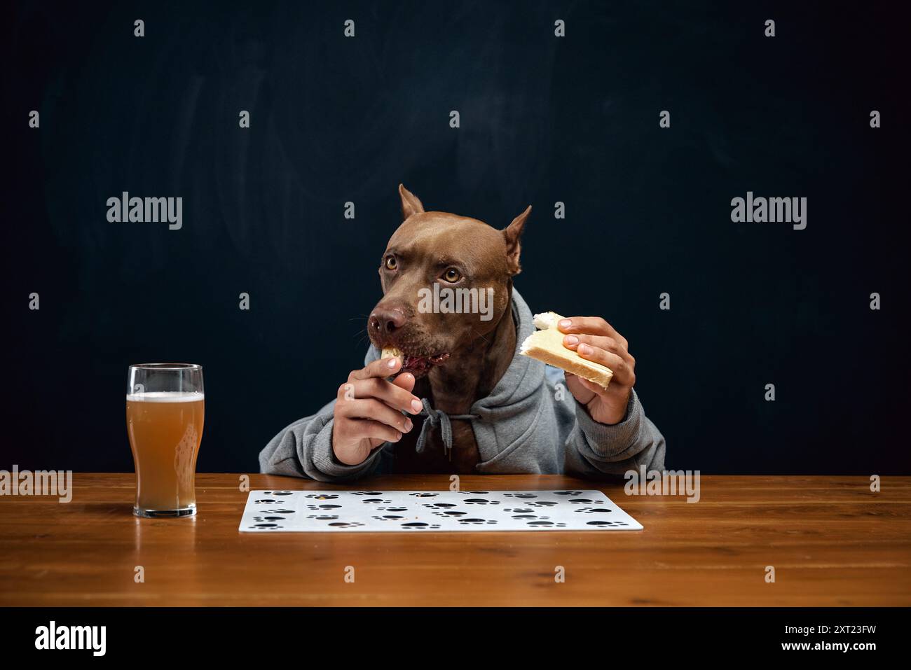 Brown pit bull human body hi-res stock photography and images - Alamy