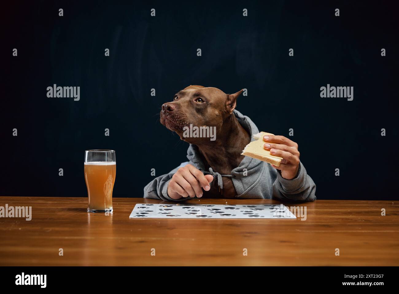 Adorable brown pit bull with human body element wearing gray hoodie ...