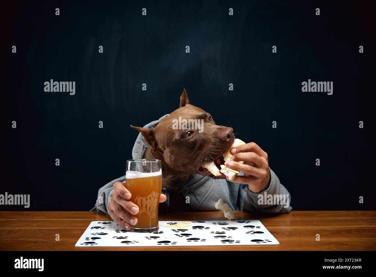 Adorable brown pit bull with human body element wearing gray hoodie ...