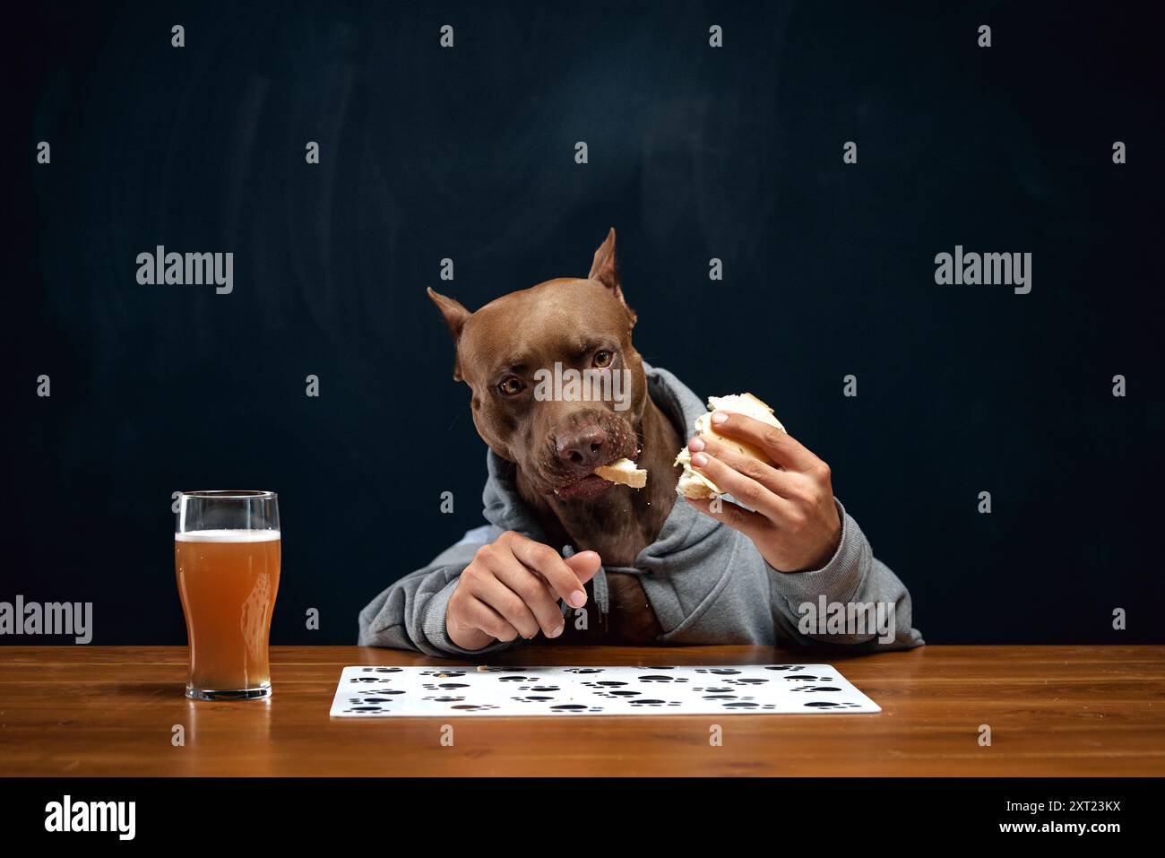 Adorable brown pit bull with human body element wearing gray hoodie ...