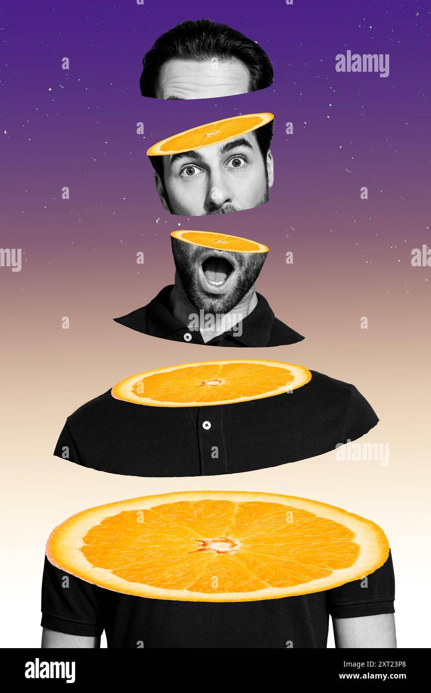 Composite collage image of surreal painting artwork funny shocked man ...