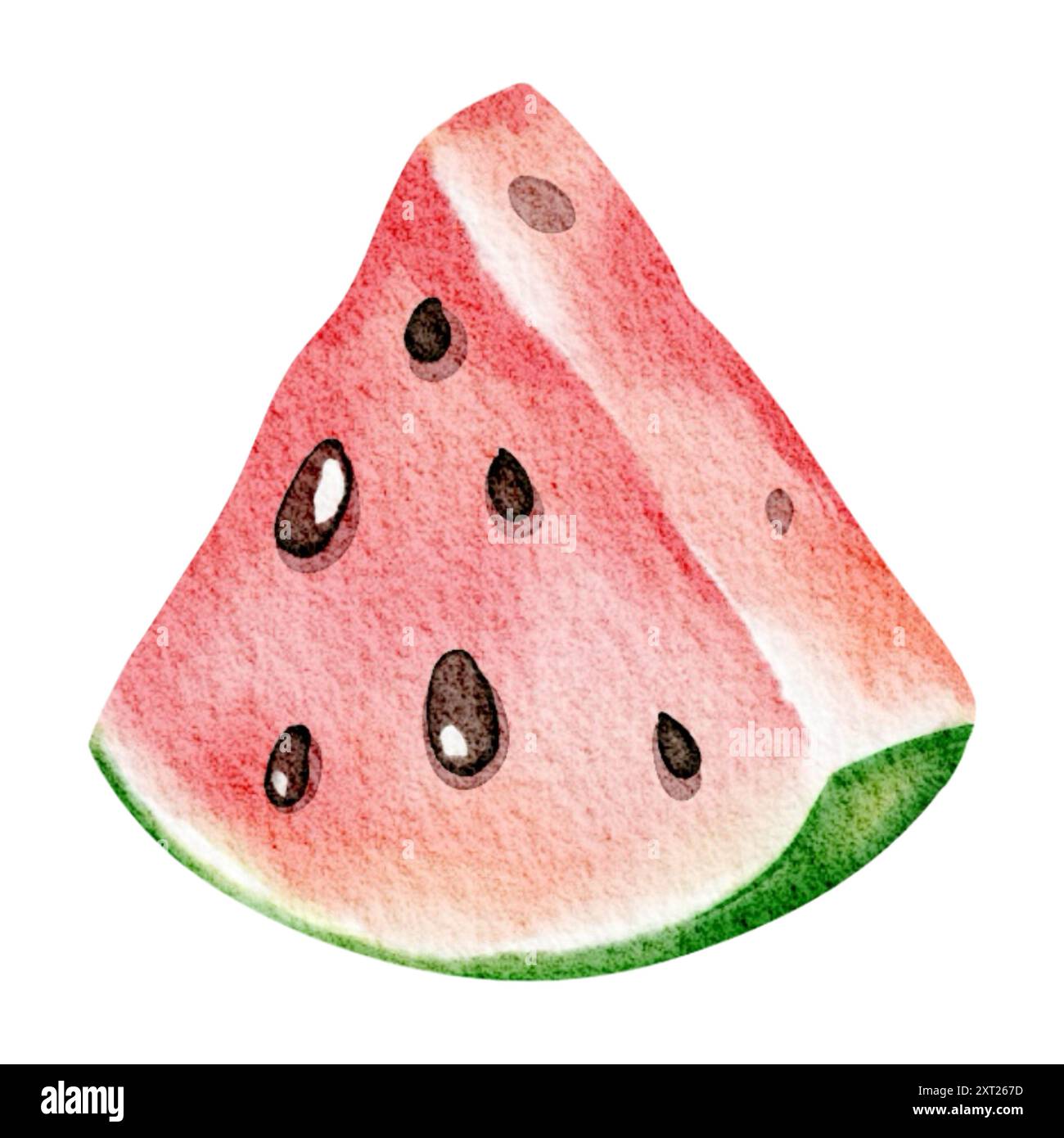 Watercolor Watermelon Slice Illustration of on isolated background ...