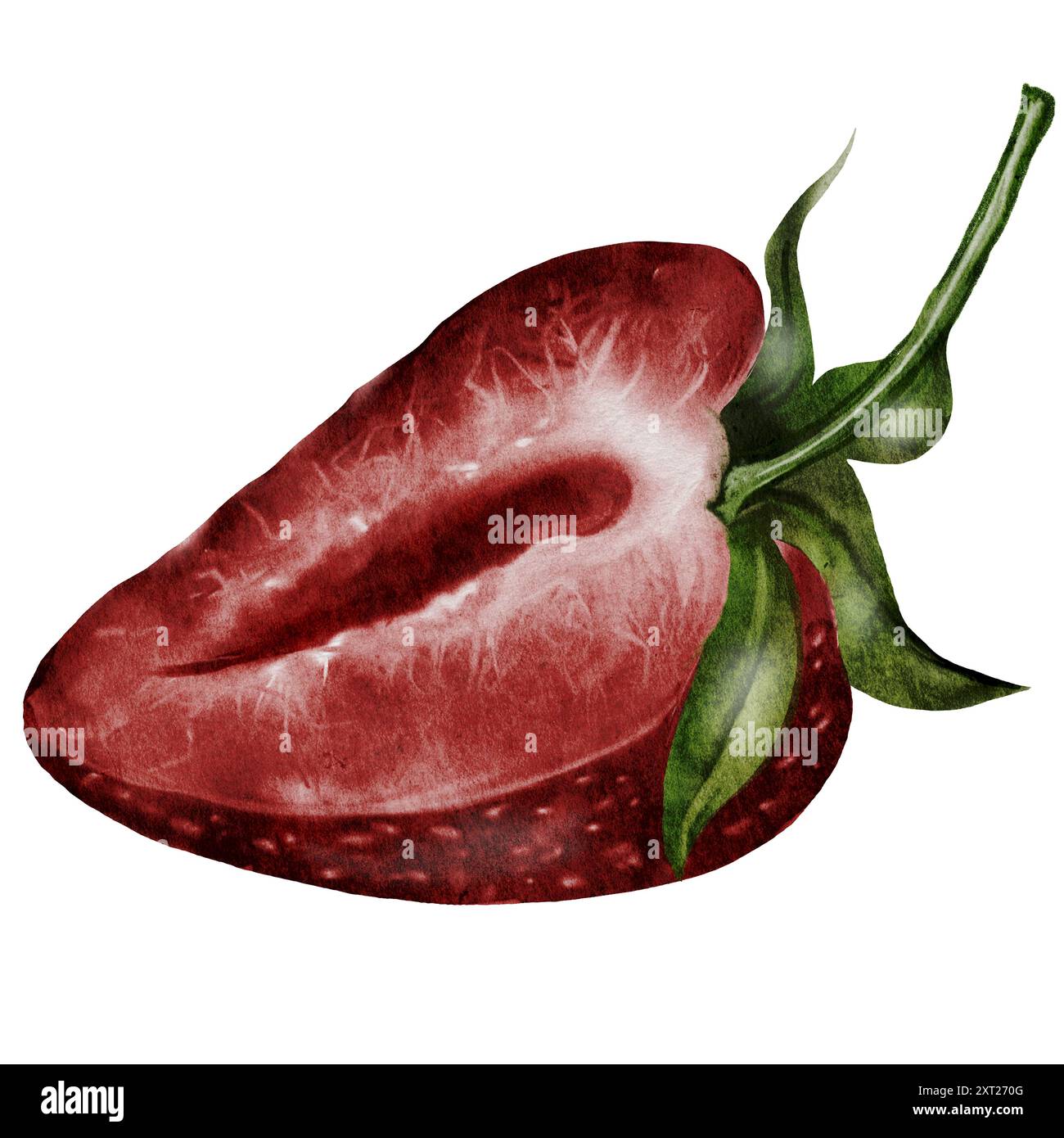 Strawberries clip art. Hand drawn watercolor drawing of juicy red berry ...