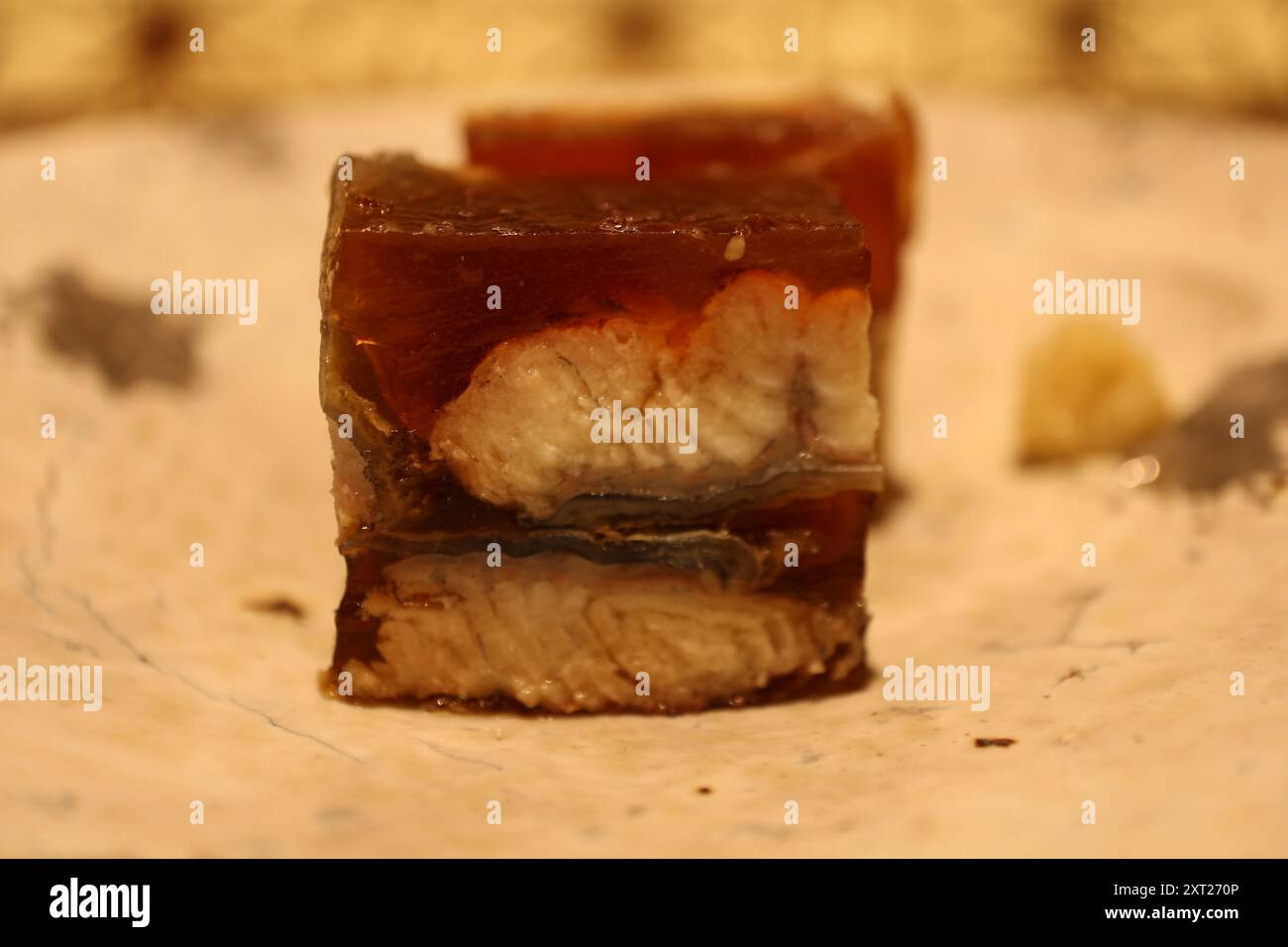 Japanese cuisine : Unagi nikogori (Jellied eel) in Tokyo, Japan Stock ...