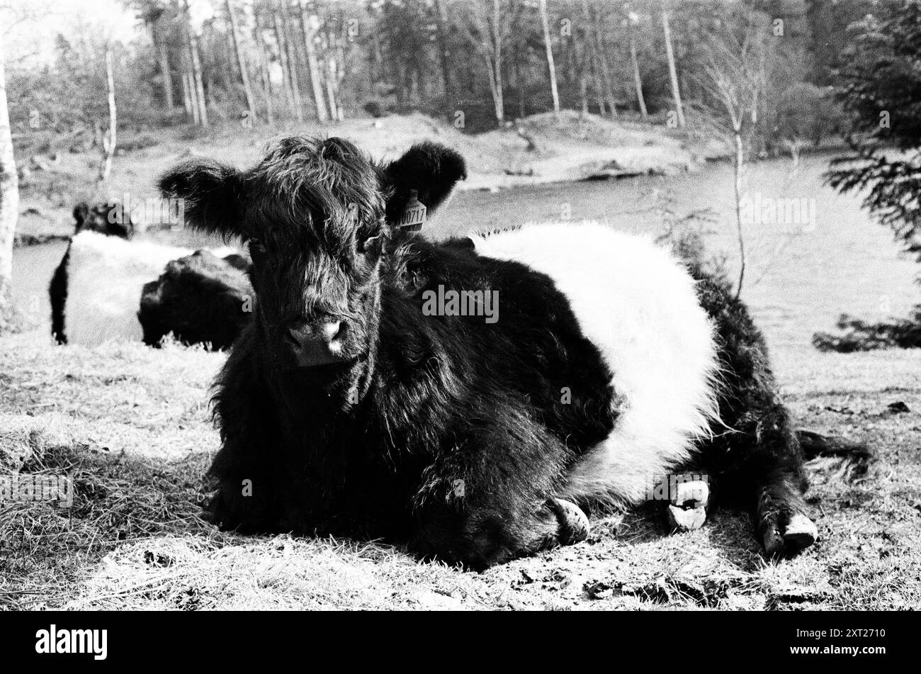 Galloway national park Black and White Stock Photos & Images - Alamy