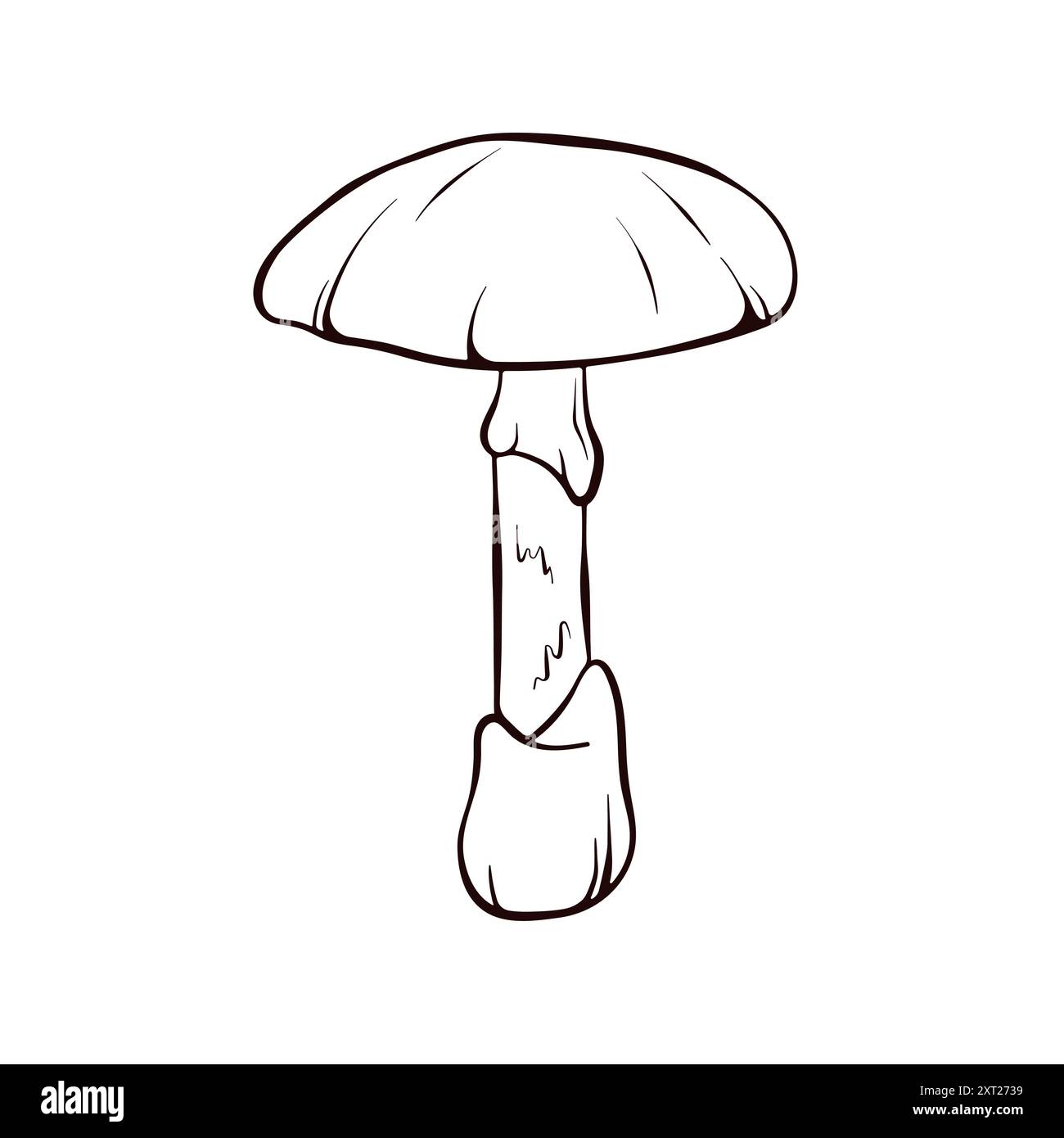 Simple hand drawn Death cap inedible toxic Mushroom. Autumn design ...