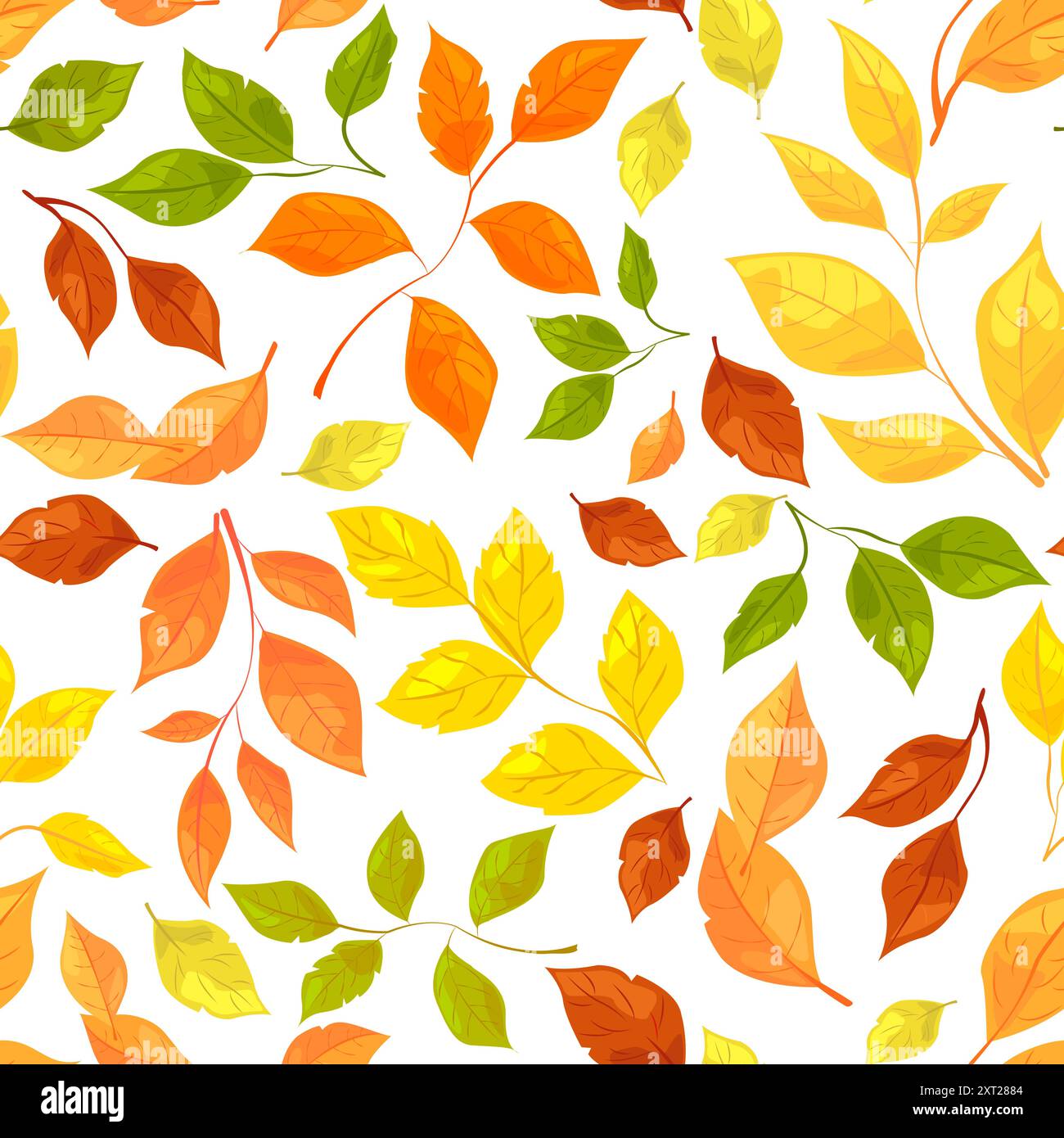 Colorful autumn leaves in various shades and shapes on a white ...