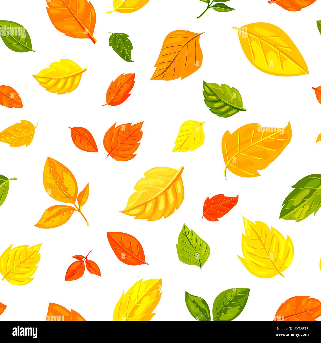 Colorful autumn leaves in various shades and shapes on a white ...