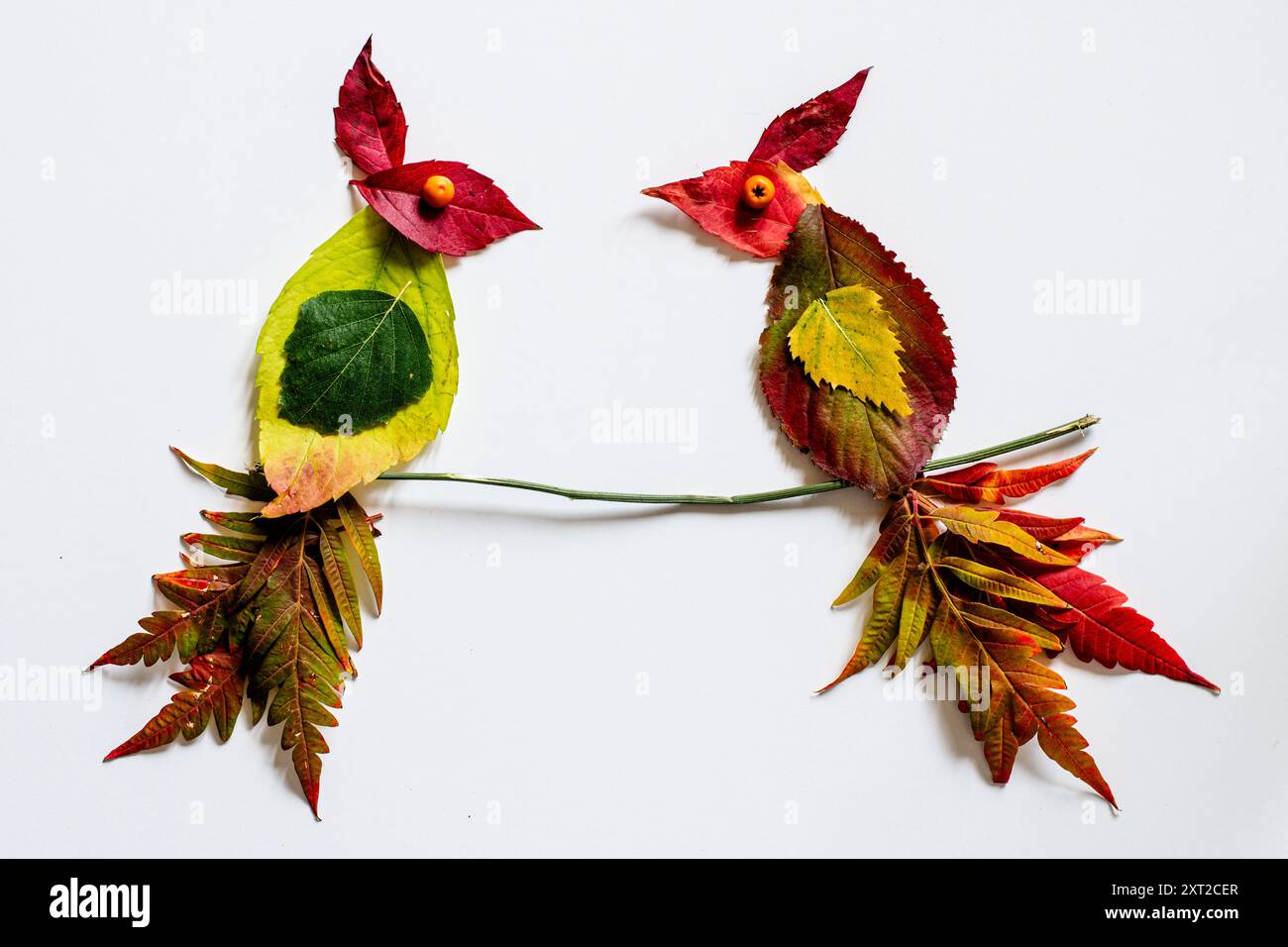 colorful parrots animal made from vivid leaves, creativity, autumn vibes Stock Photo - Alamy