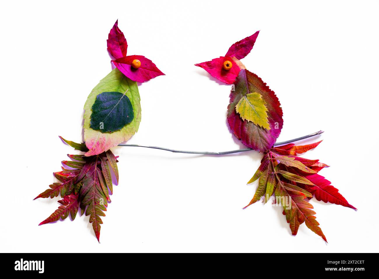 Autumn composition background from Cut Out Stock Images & Pictures - Alamy