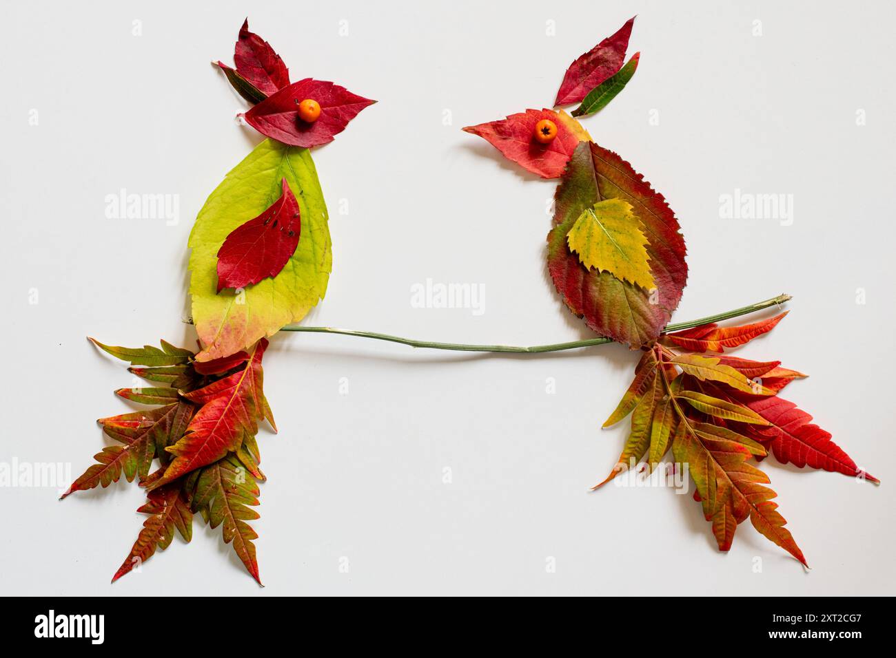 colorful parrots animal made from vivid leaves, creativity, autumn ...