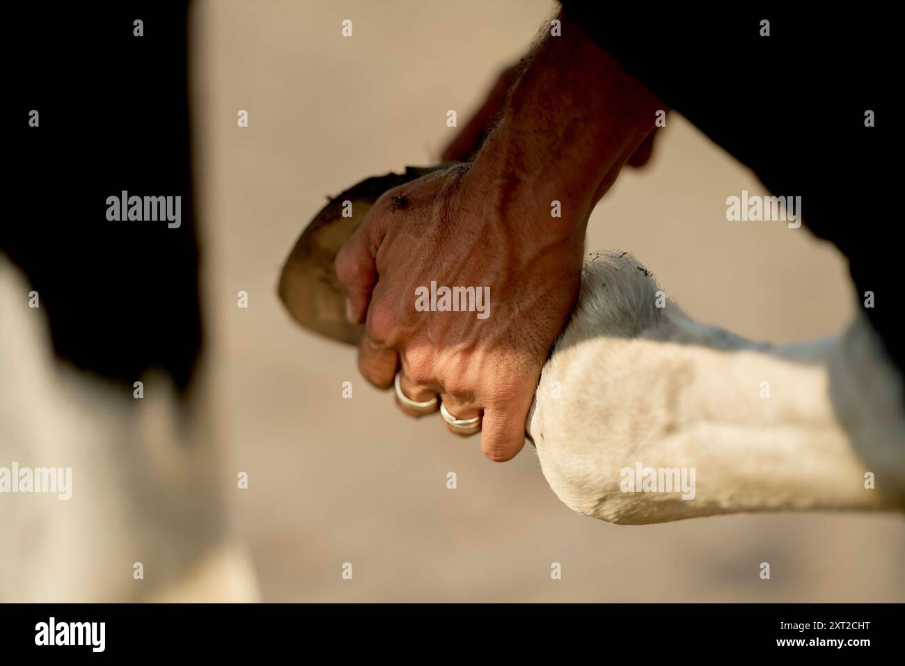 Menschenhanden hi-res stock photography and images - Alamy