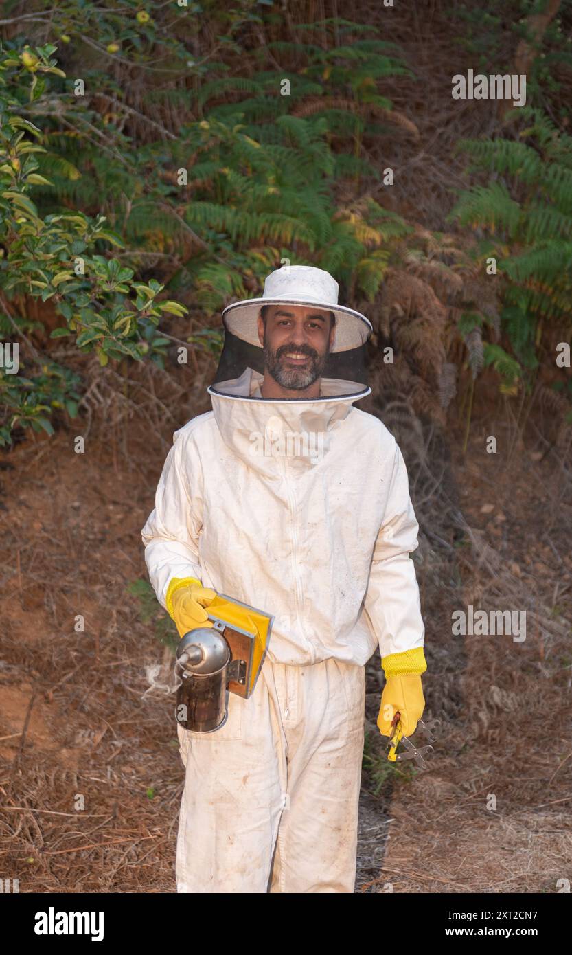 Beekeeper safety honeycomb bee hi-res stock photography and images - Alamy