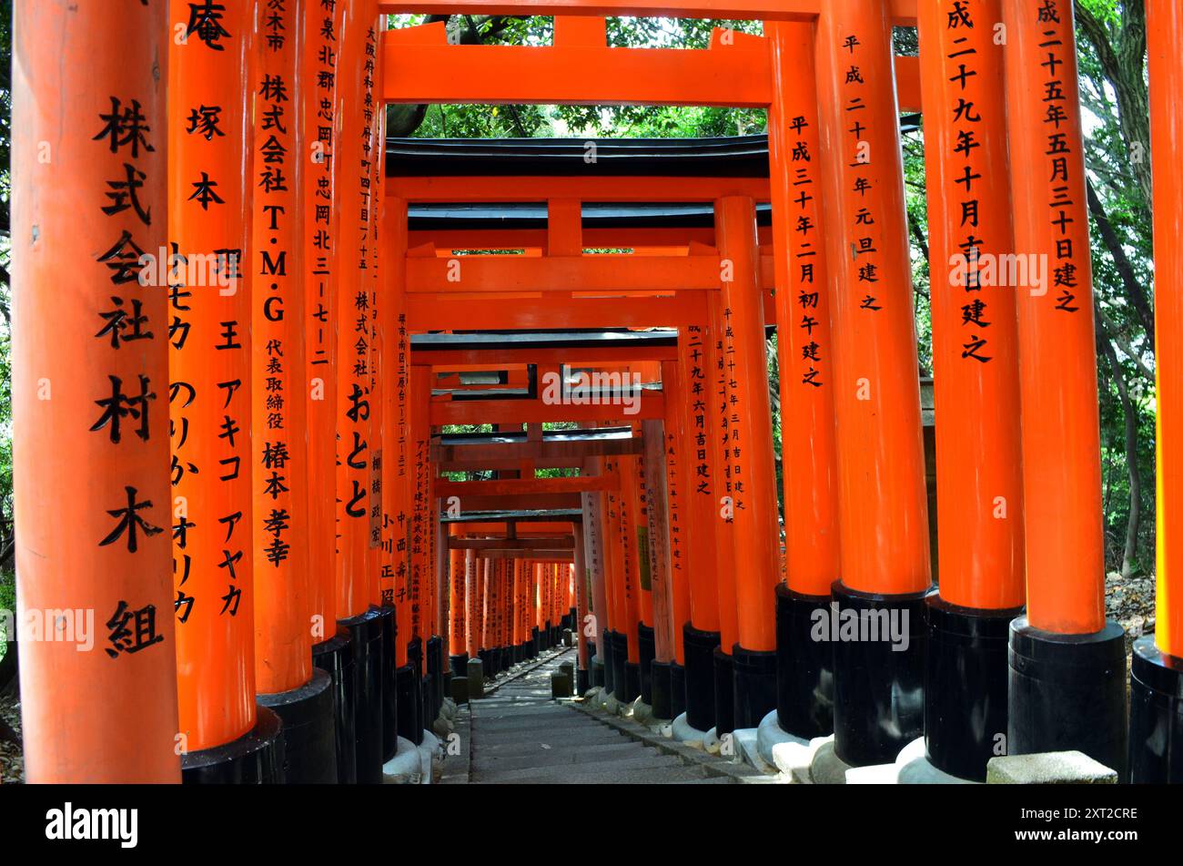 Traditional red toori gate hi-res stock photography and images - Alamy