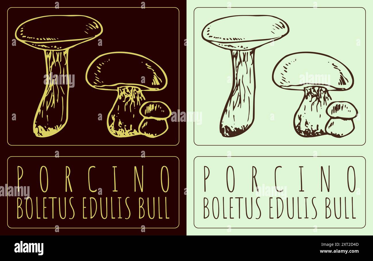 Healthy boletus edulis cartoon hi-res stock photography and images - Alamy