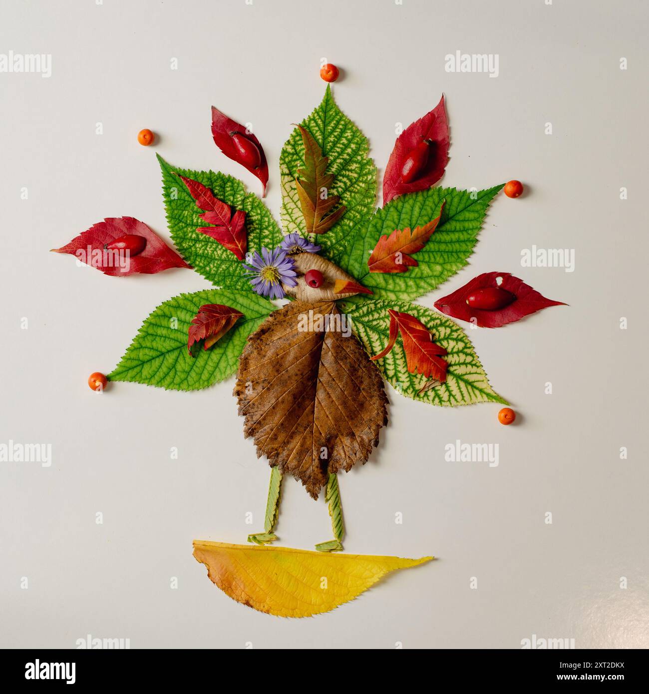 colorful fairy figures from leaves and flowers, autumnal craft, diy ...