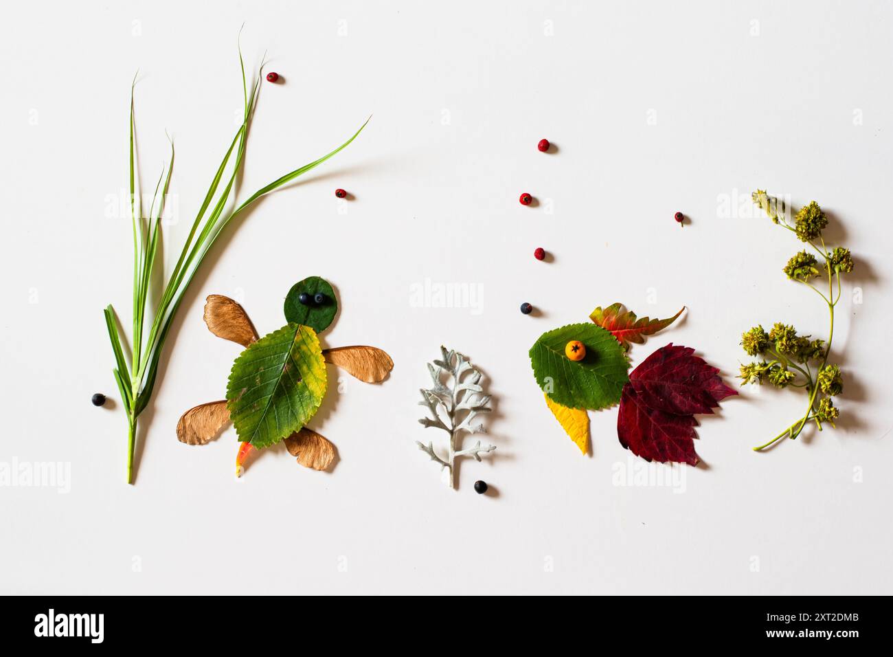 colorful fish and turtle animals made from vivid leaves, creativity ...