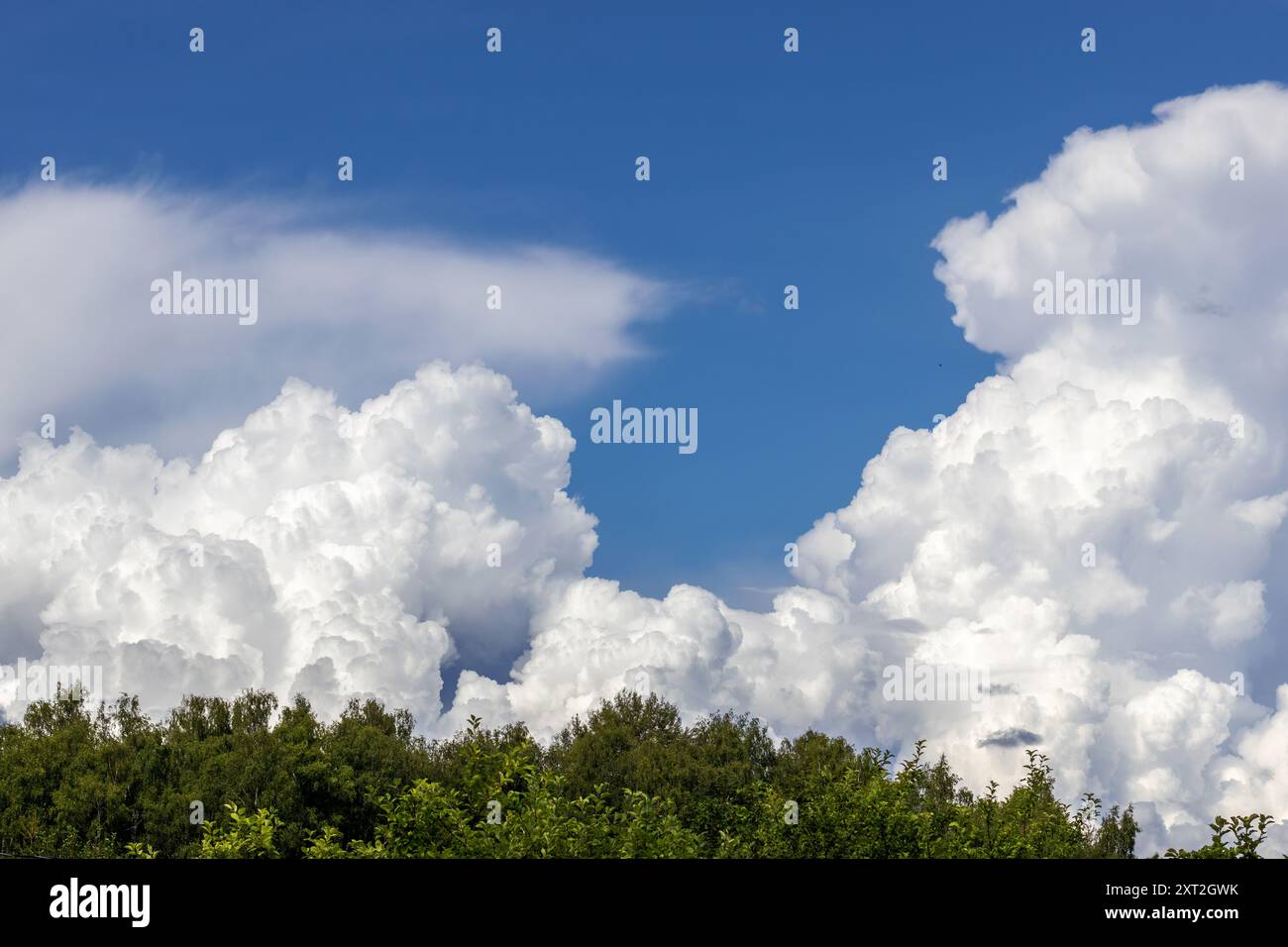Lush big cumulus clouds in blue sky above forest Stock Photo - Alamy