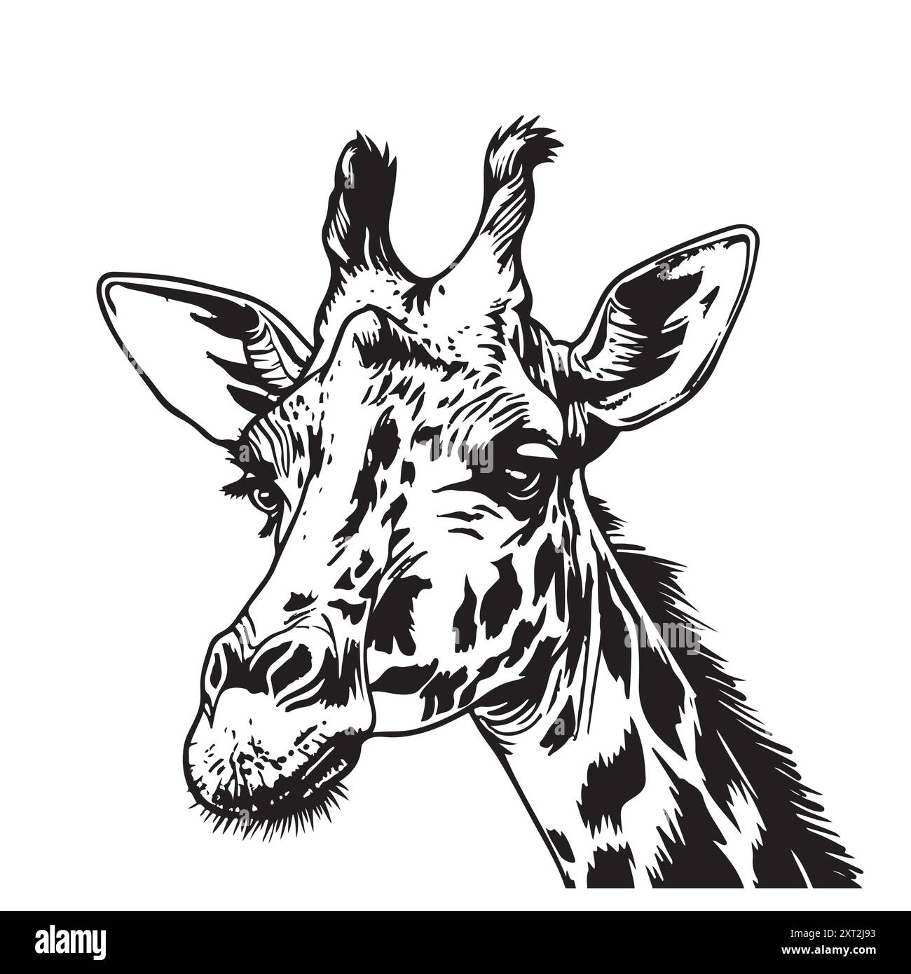 Beautiful hand drawn illustration portrait of giraffe. Sketch Stock ...
