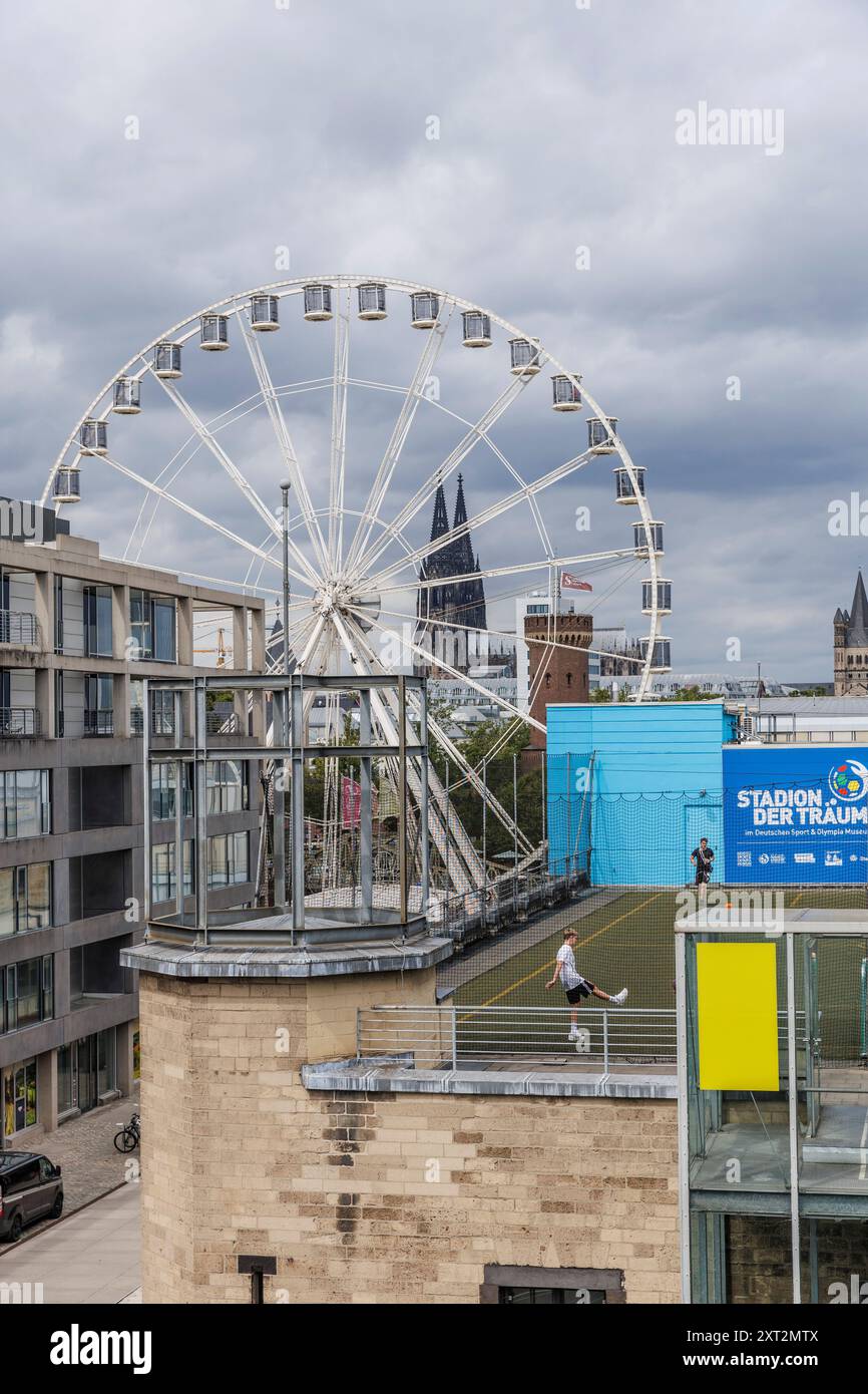 ferris wheel in the Rheinau harbour, in the foreground the German ...