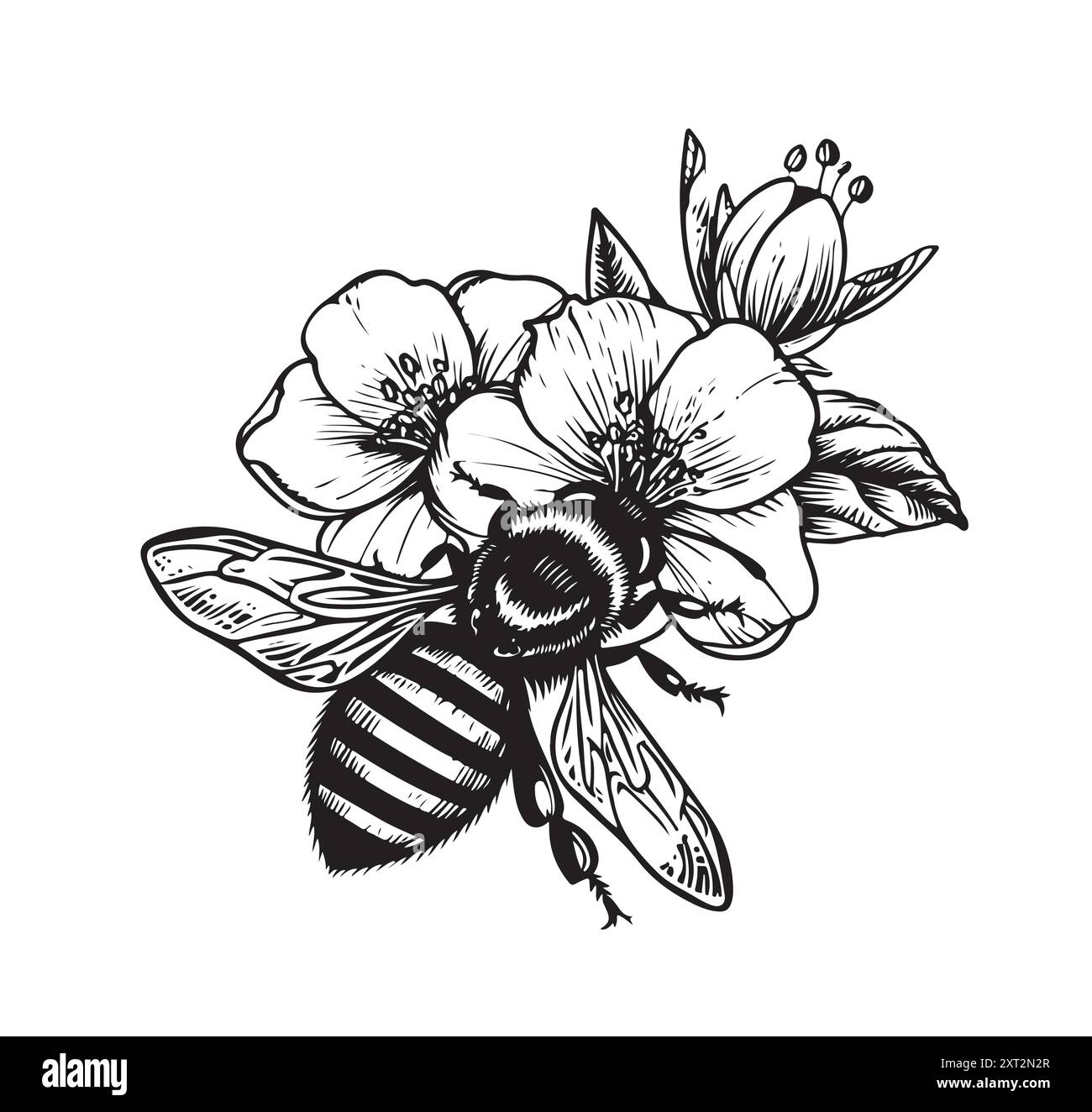 Woodcut of bee hi-res stock photography and images - Alamy