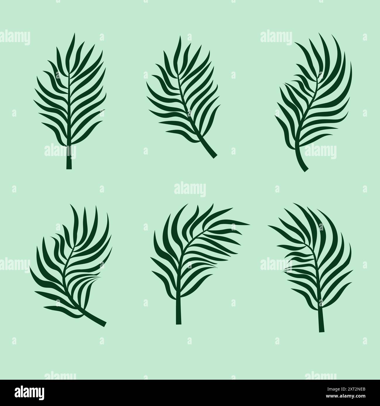 Bright line green tropical Stock Vector Images - Alamy