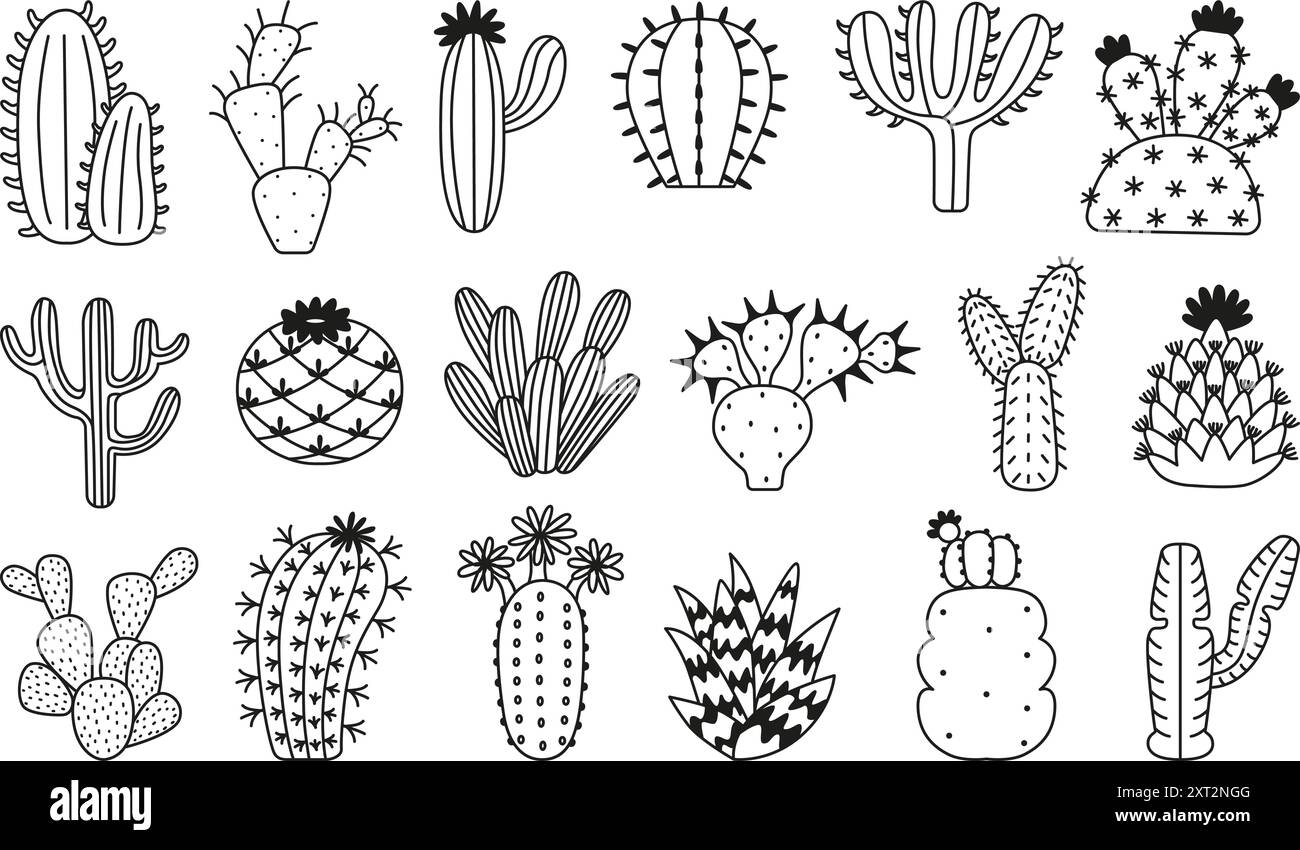 Simple doodle cactus. Line cacti plants, succulents kit for home garden ...