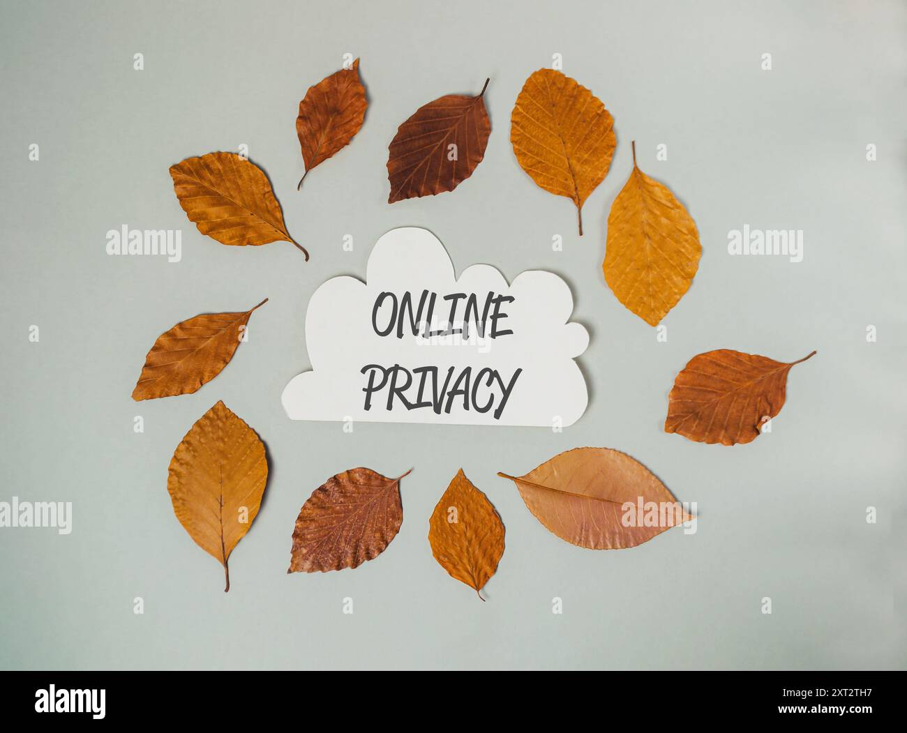 A white cloud with leaves surrounding it and the word online privacy ...