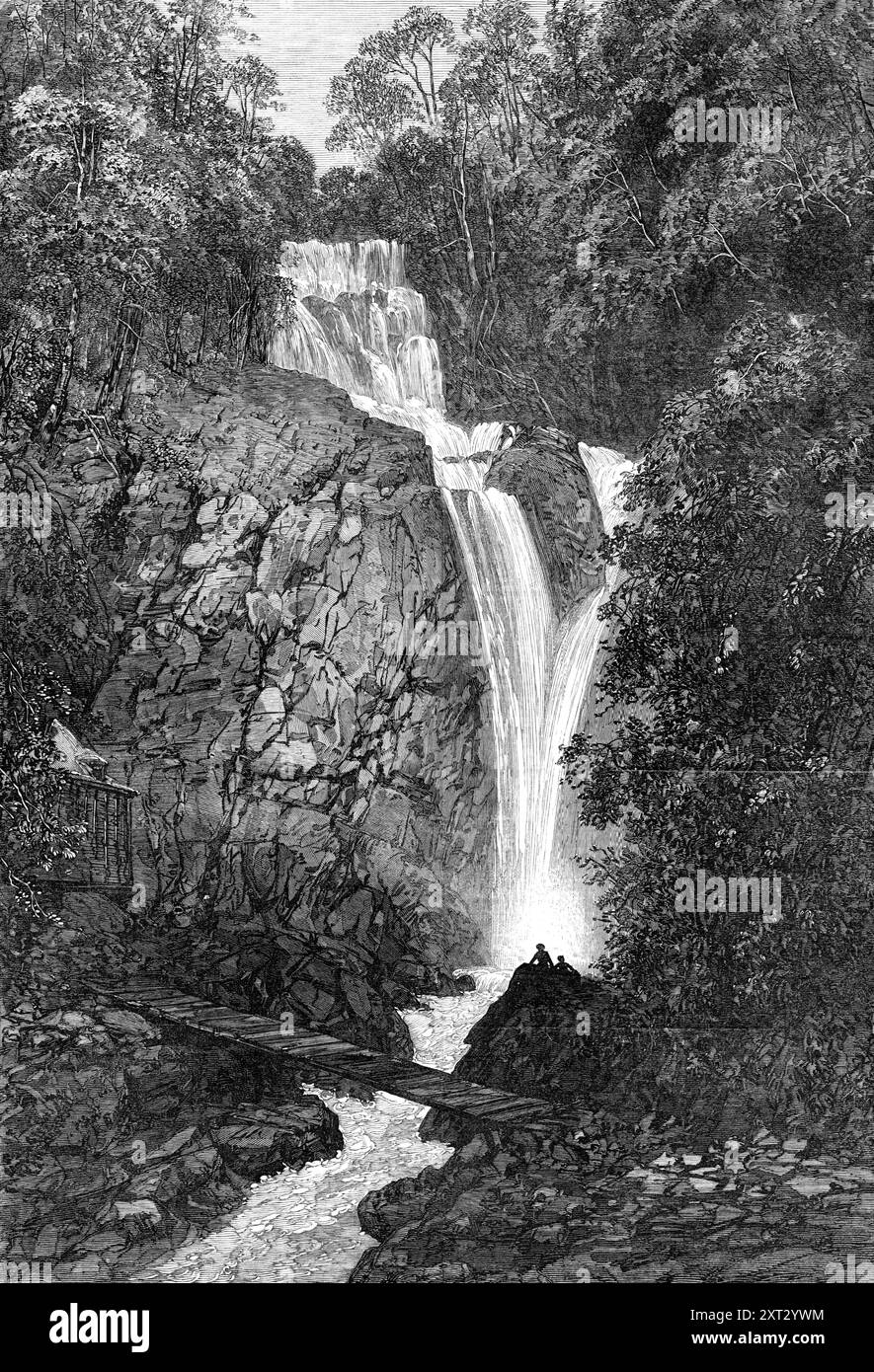 The Duke of Edinburgh at Penang: waterfall near Penang, 1870. Royal ...