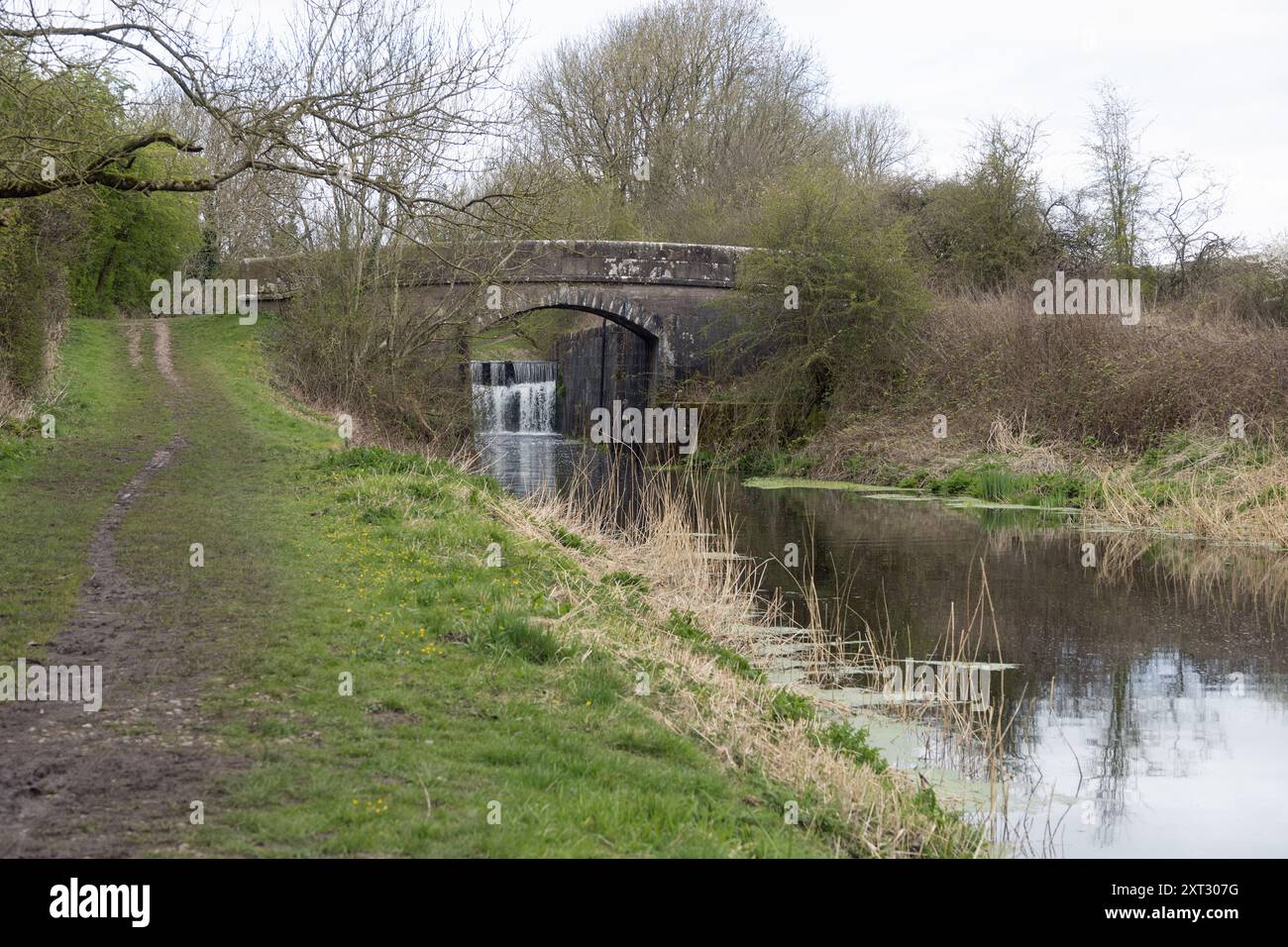 Tewitfield Lochs on the disused section of the Lancaster Canal near ...
