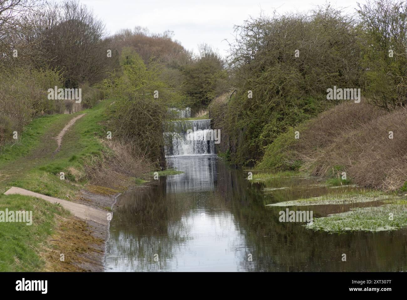 Tewitfield Lochs on the disused section of the Lancaster Canal near ...