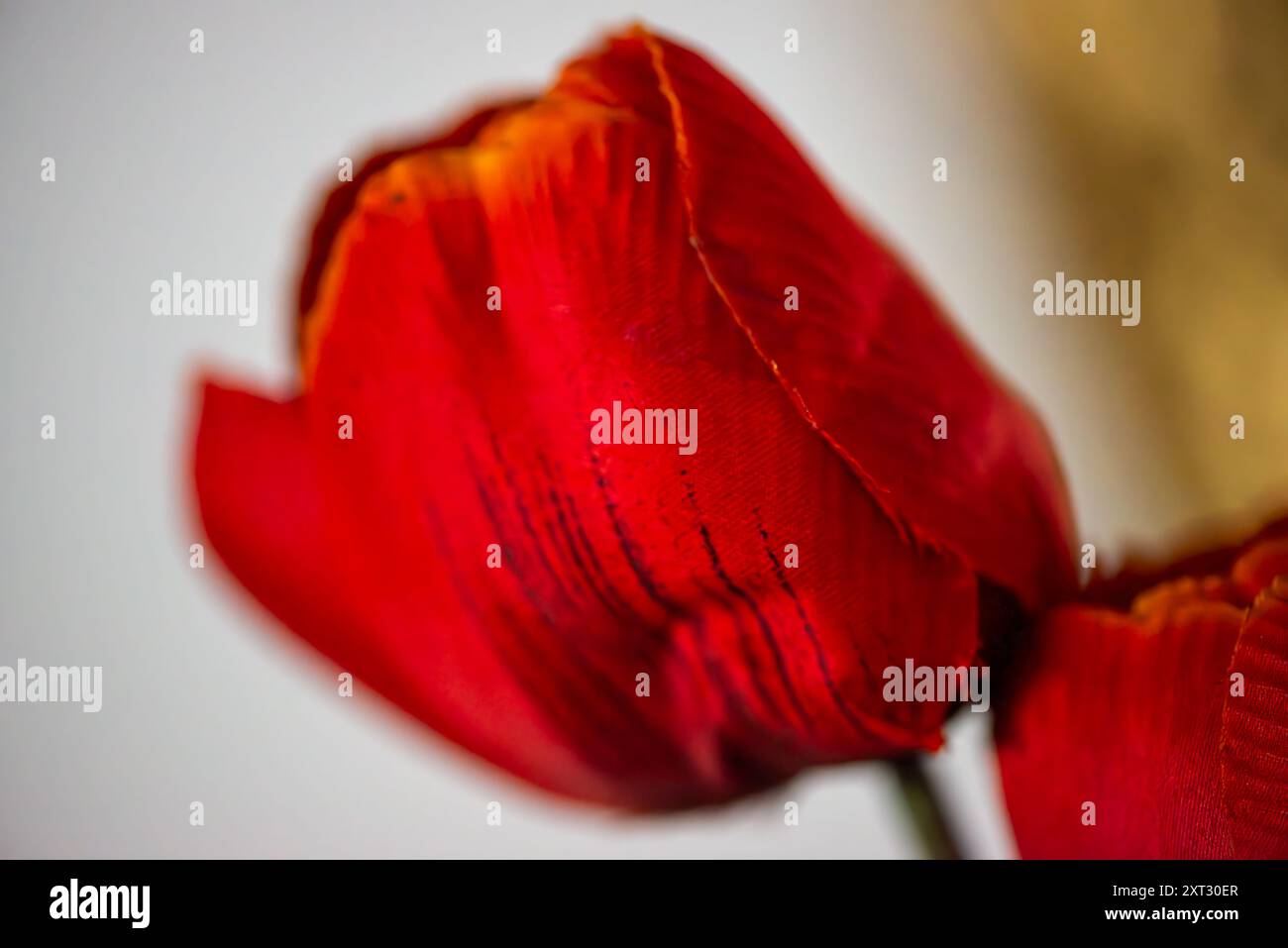 A macro photo capturing the intricate details and lifelike texture of a ...