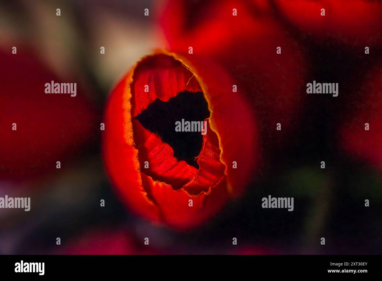 A macro photo capturing the intricate details and lifelike texture of a ...