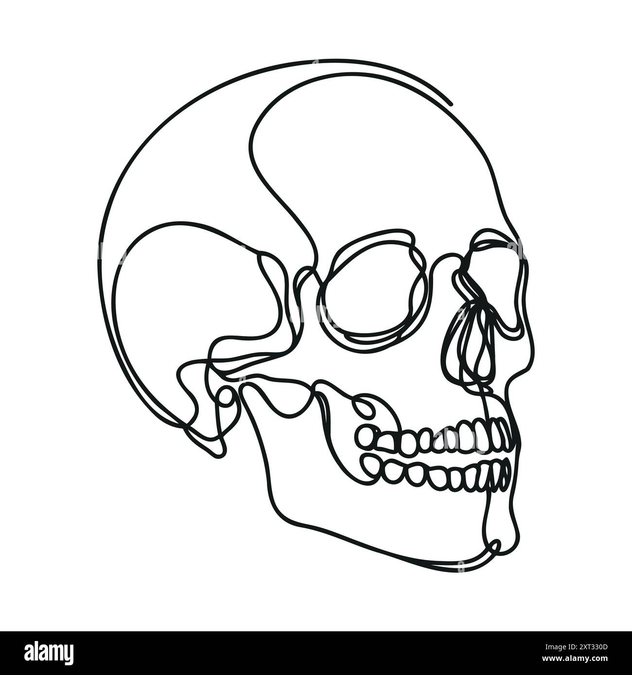 Human scull. One line continuous Halloween skull isolated on white ...