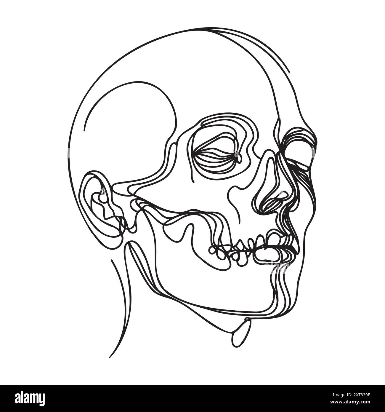 Human scull. One line continuous Halloween skull isolated on white ...