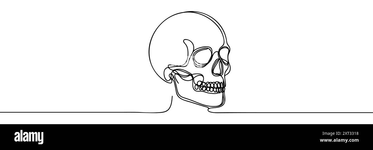 Human scull. One line continuous Halloween skull isolated on white ...