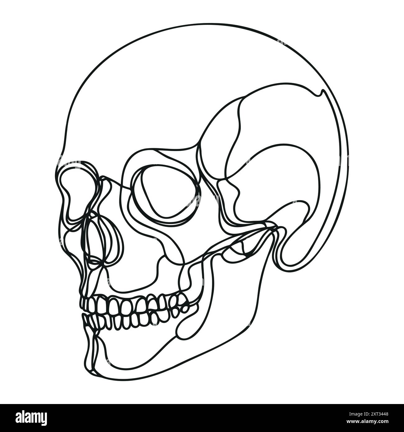 Human scull. One line continuous Halloween skull isolated on white ...