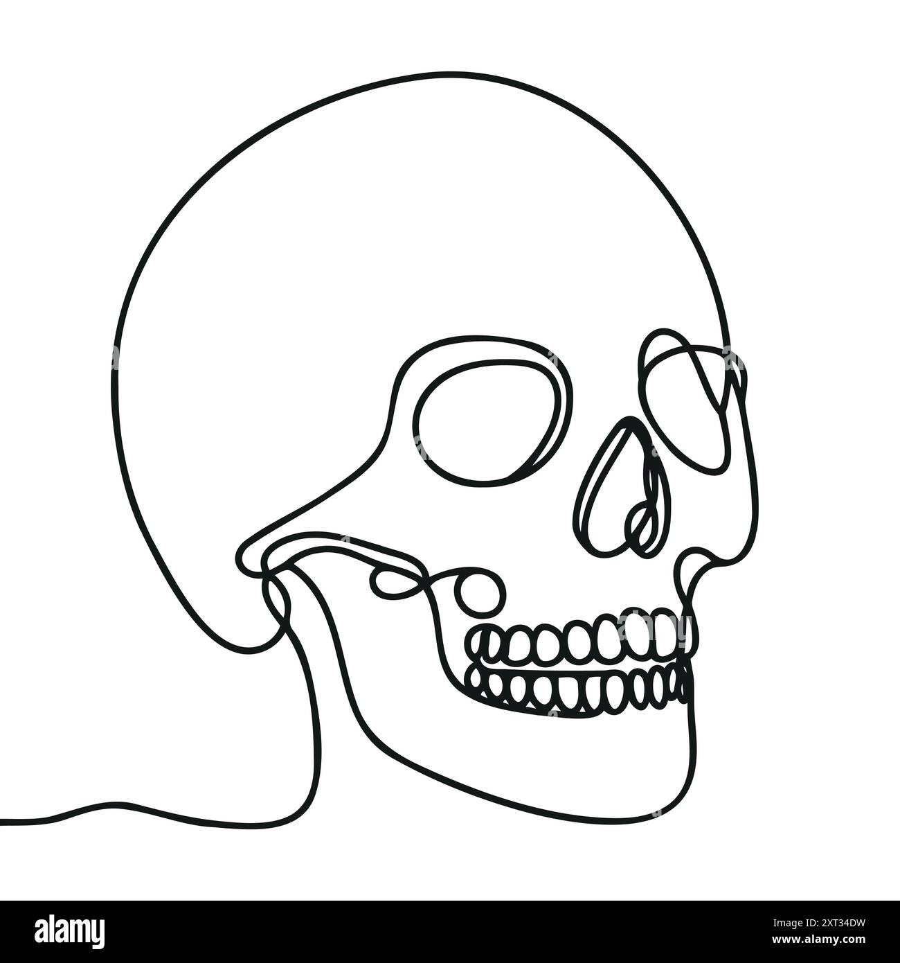 Human scull. One line continuous Halloween skull isolated on white ...