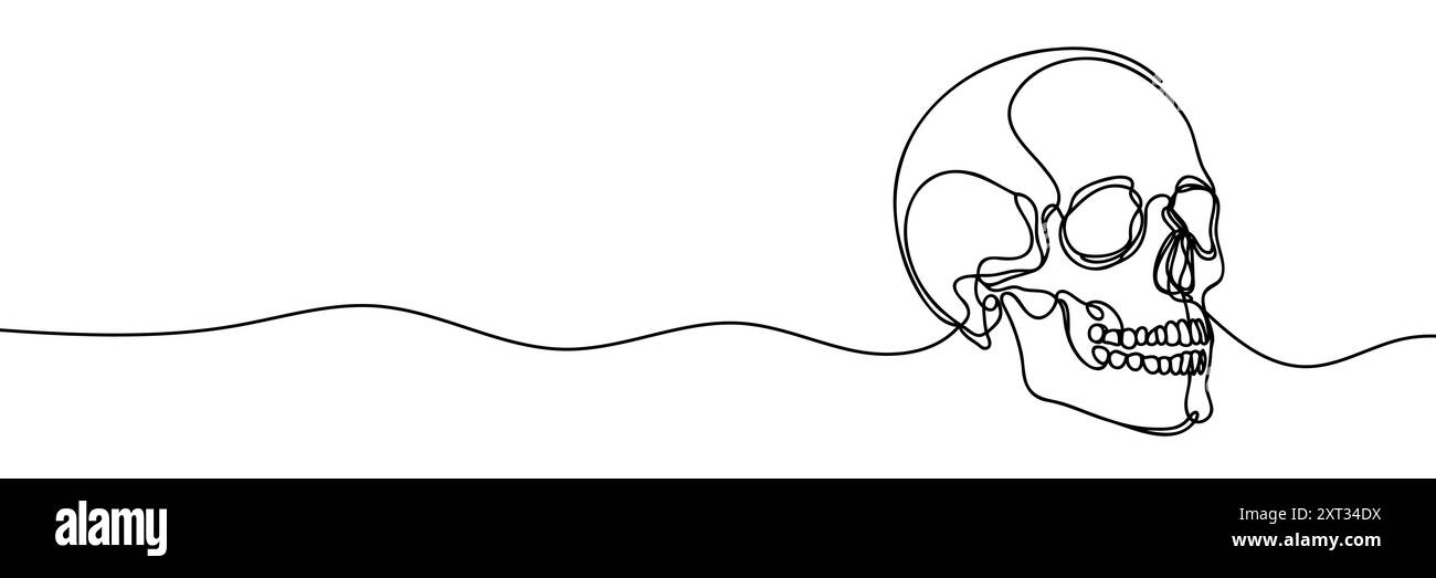 Human scull. One line continuous Halloween skull isolated on white ...
