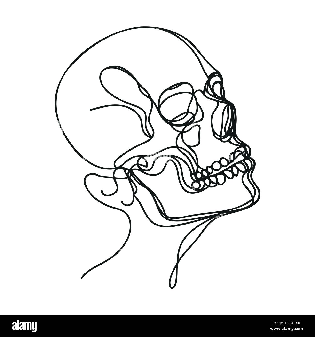 Human scull. One line continuous Halloween skull isolated on white ...