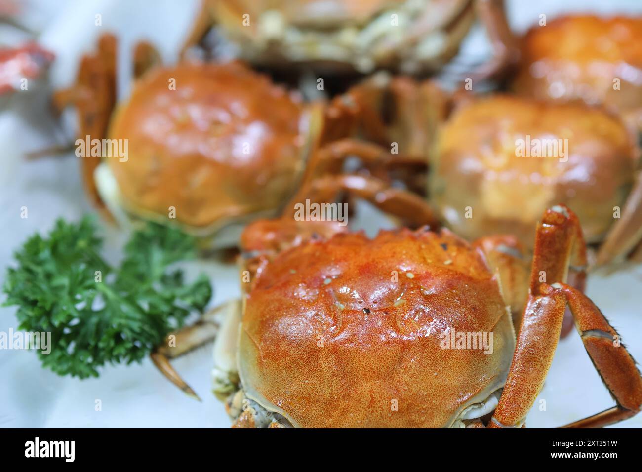 Asian Street Food dishes in a Chinese Night Market Stock Photo - Alamy