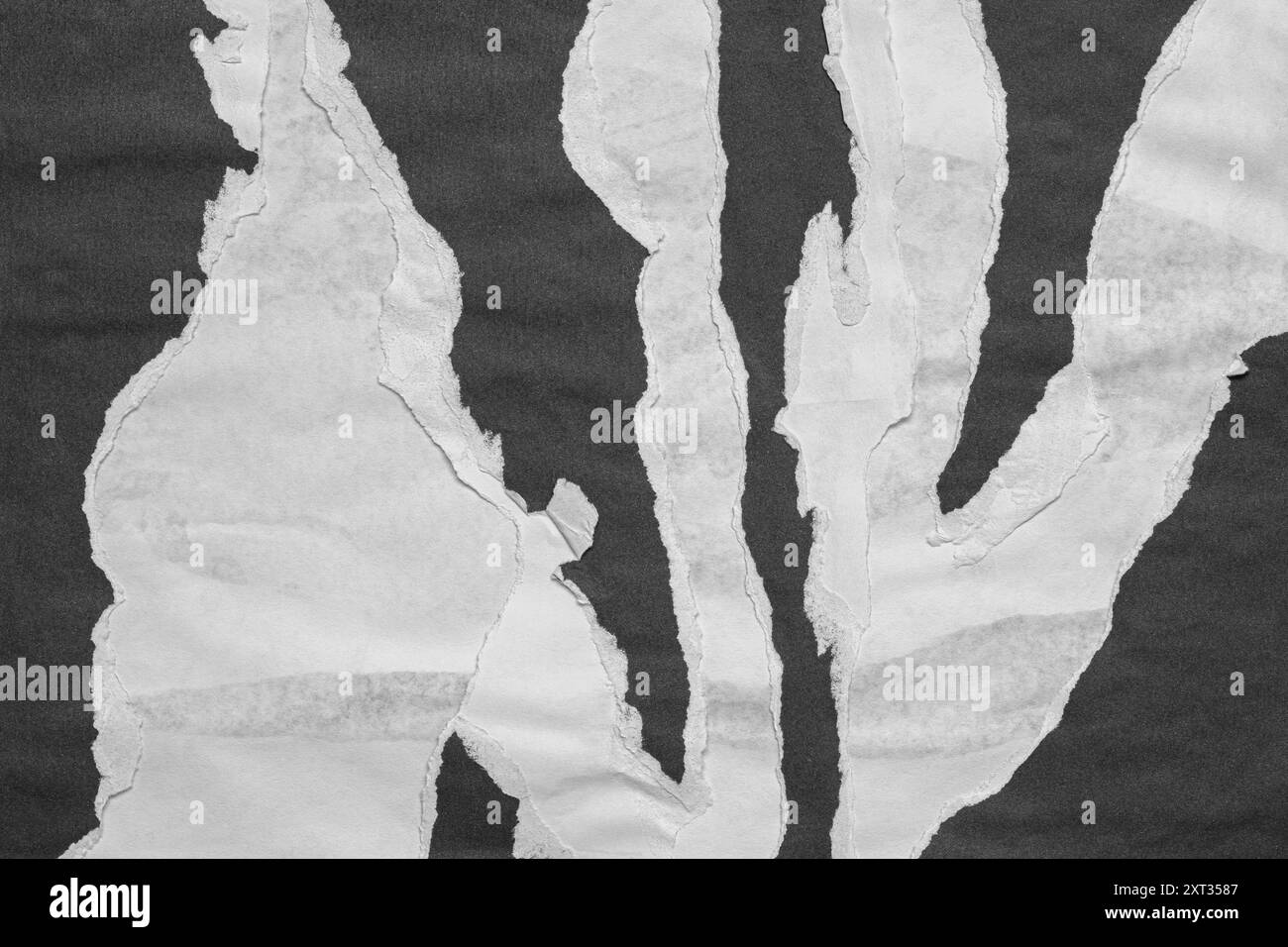Black and White Torn Paper Collage Style, Ripped Paper Effect, Texture ...