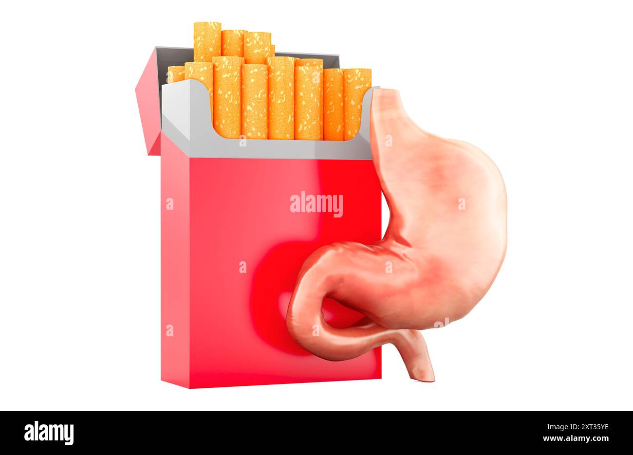 Stomach disease from smoking, concept. Stomach with Cigarette pack. 3D ...