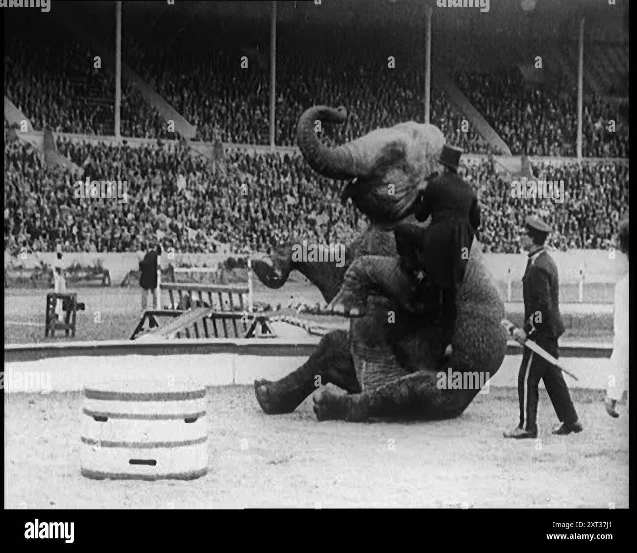 Photograph elephant performance in hi-res stock photography and images ...