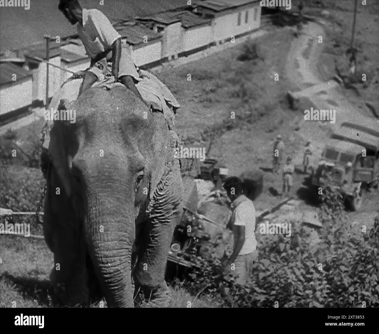 Elephant lorry truck transport hi-res stock photography and images - Alamy