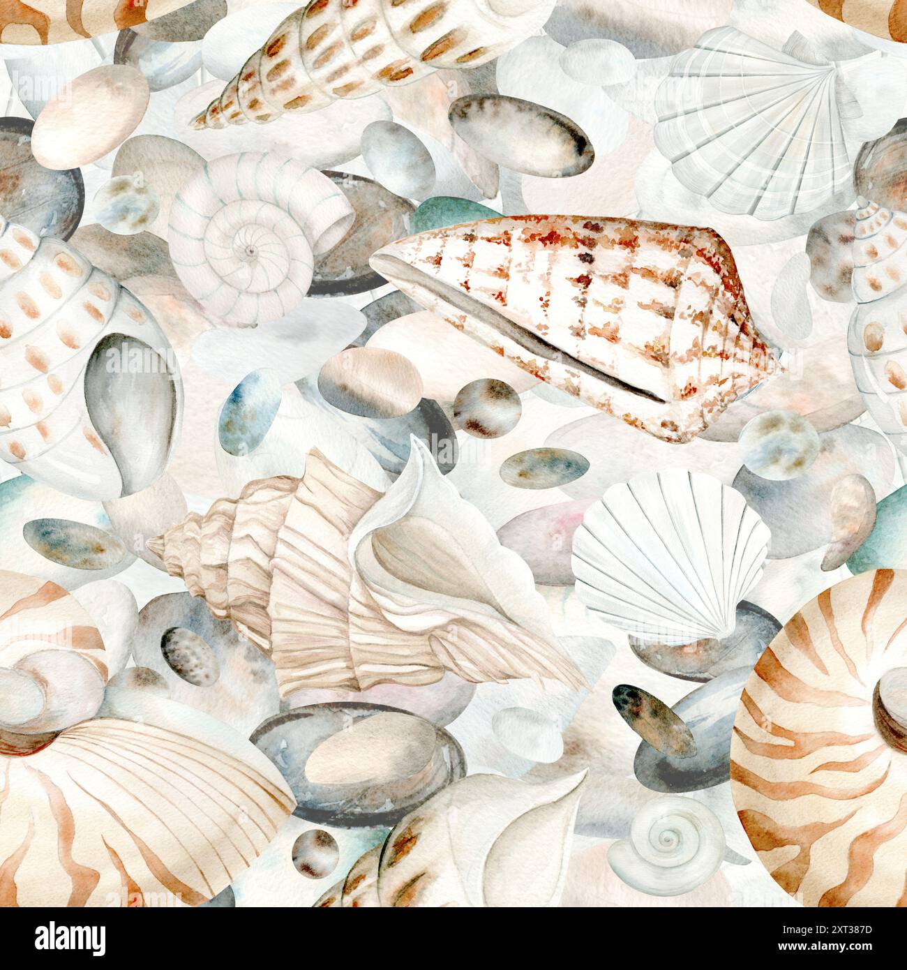 Sea Shells and Pebbles. Seamless Pattern. Watercolor illustration in ...