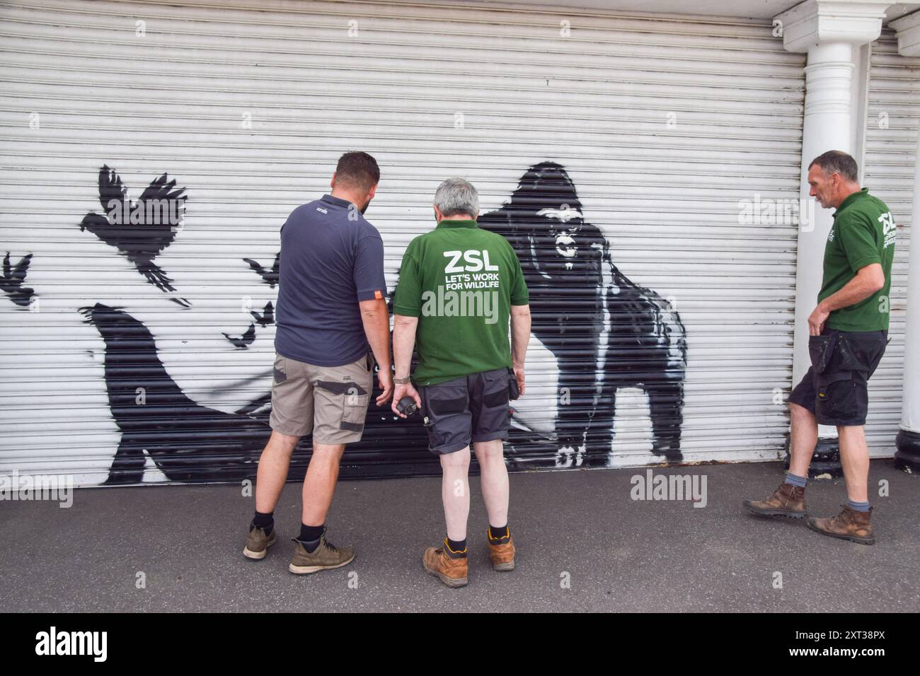 London, UK. 13th Aug, 2024. Zoo staff inspect the new artwork by Banksy ...