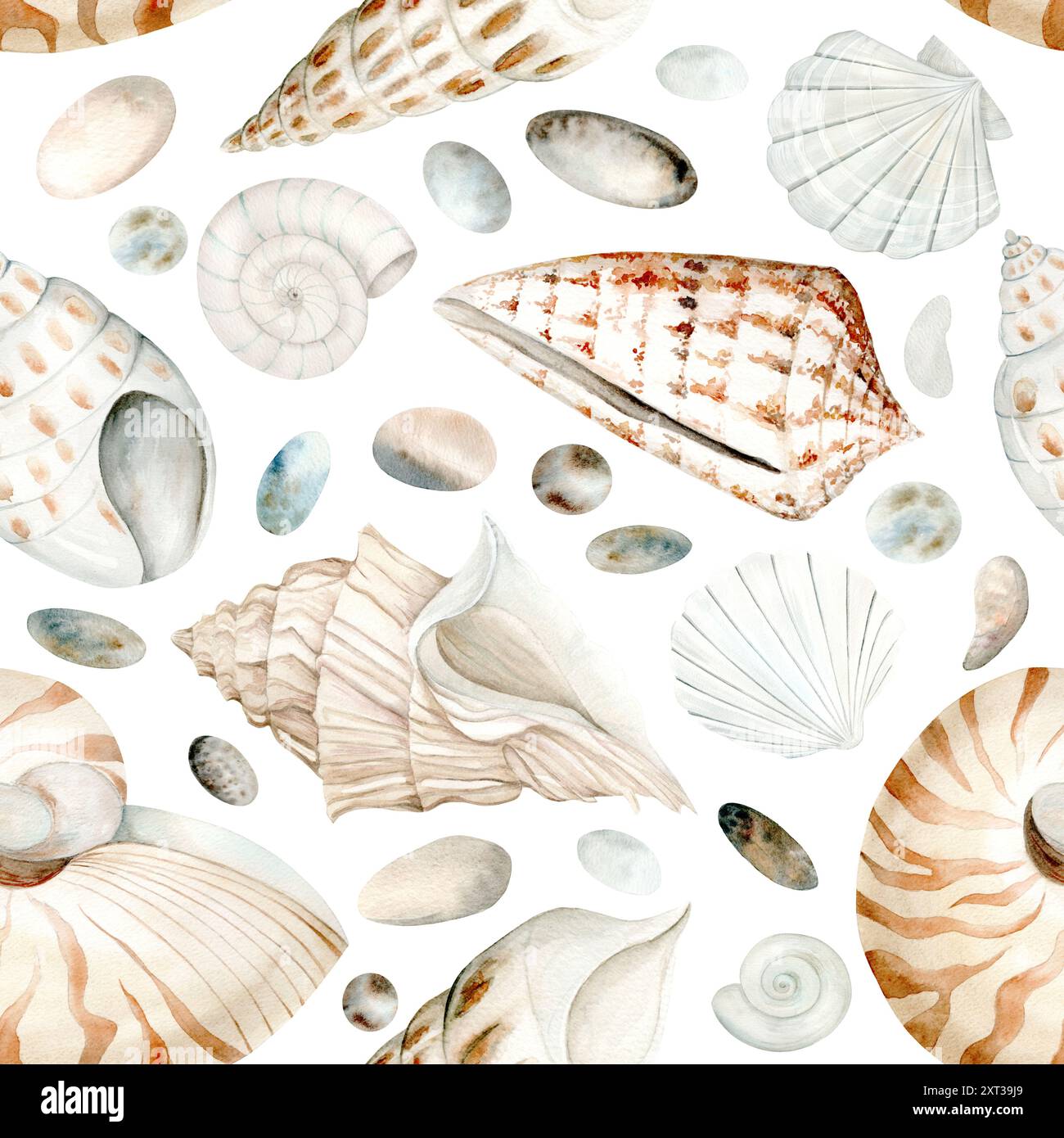 Seashells pastel painting hi-res stock photography and images - Alamy