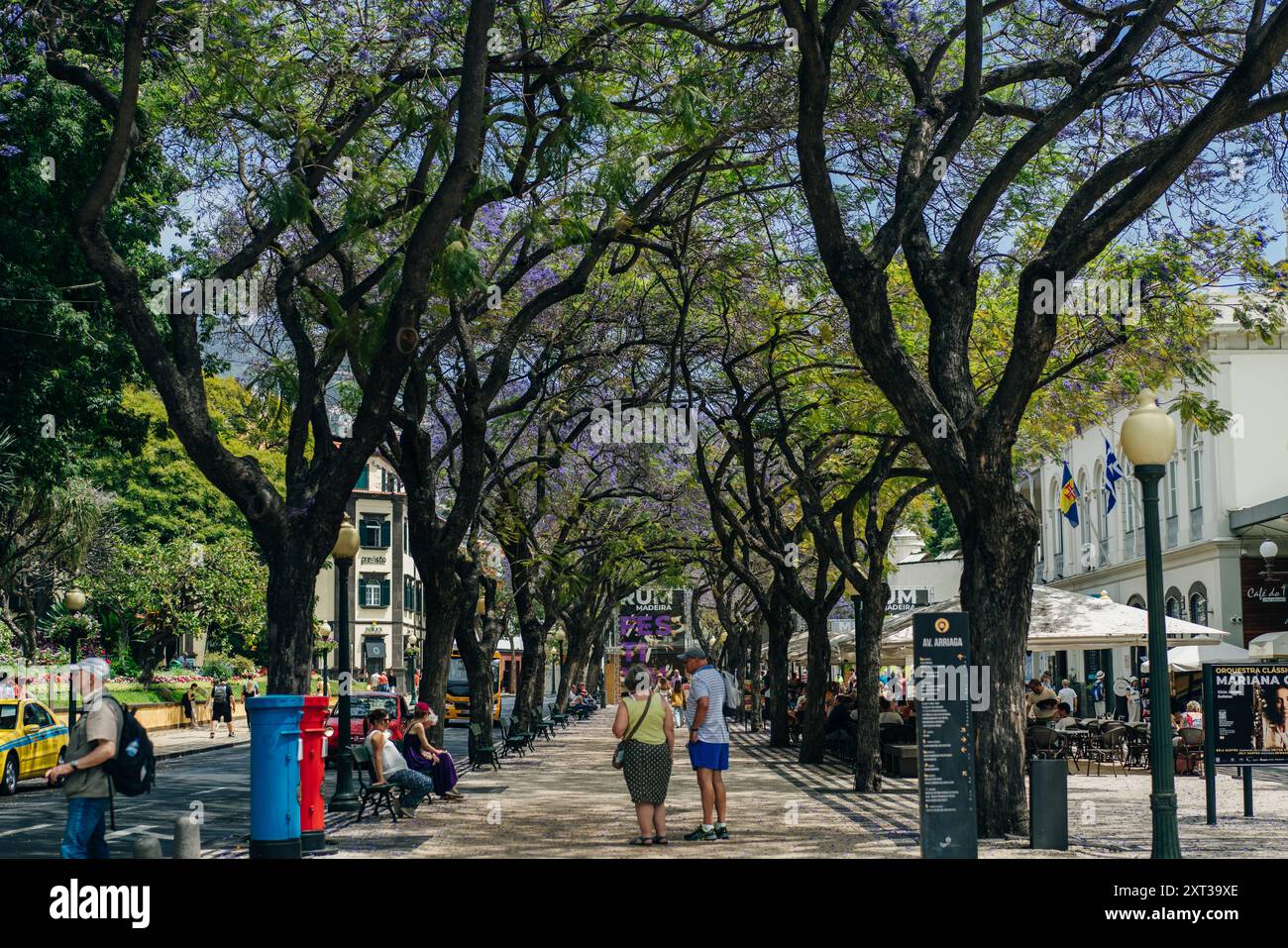 the old city center of Funchal. Madeira, Portugal - may 2 2024. High ...