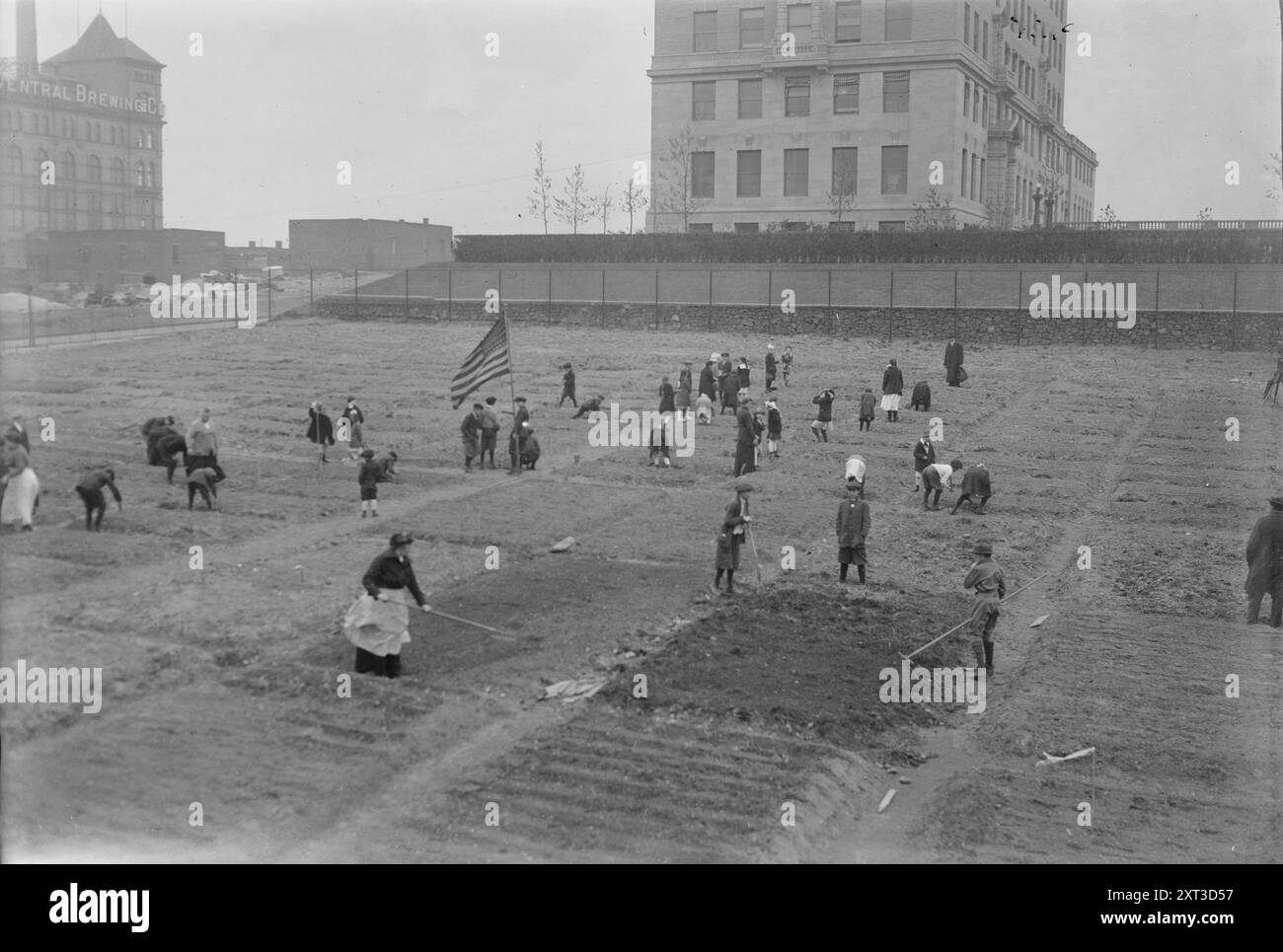 National fruit co hi-res stock photography and images - Alamy